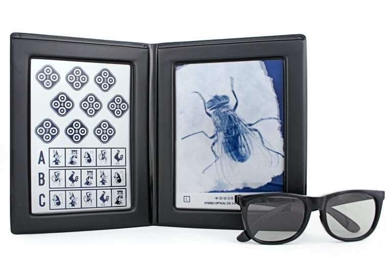 Vision Optometry - Vision University College